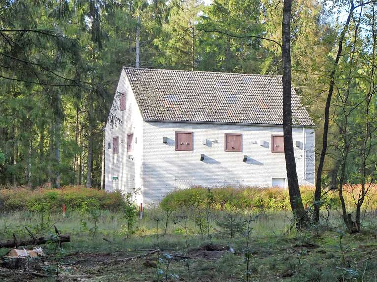 Wanderung - Wittenborn - NSG Wittenborner Heide | Wanderung | Komoot