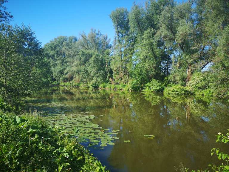 Altmühltal-Radweg (im Aufbau) | Komoot