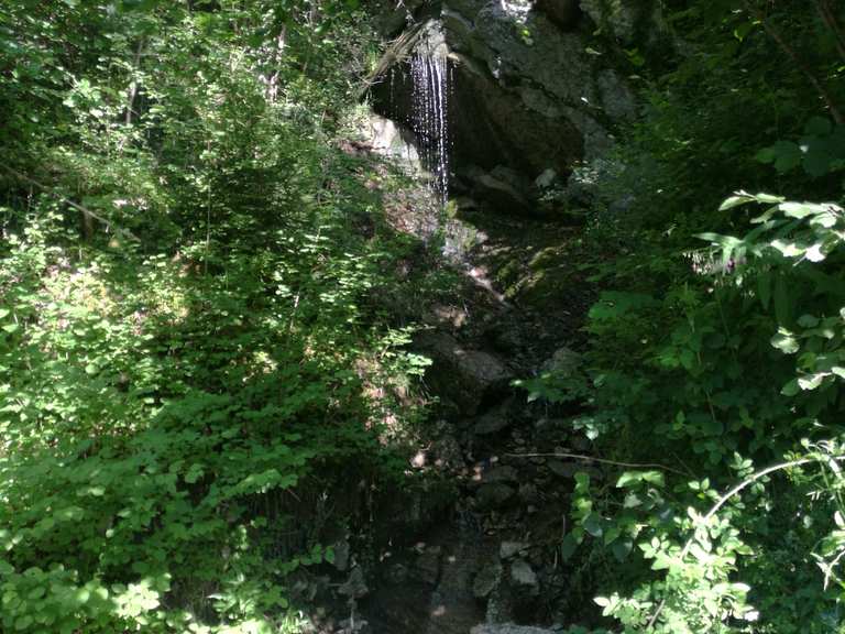 Höfen - Frauensee - Lechtal | Fahrradtour | Komoot