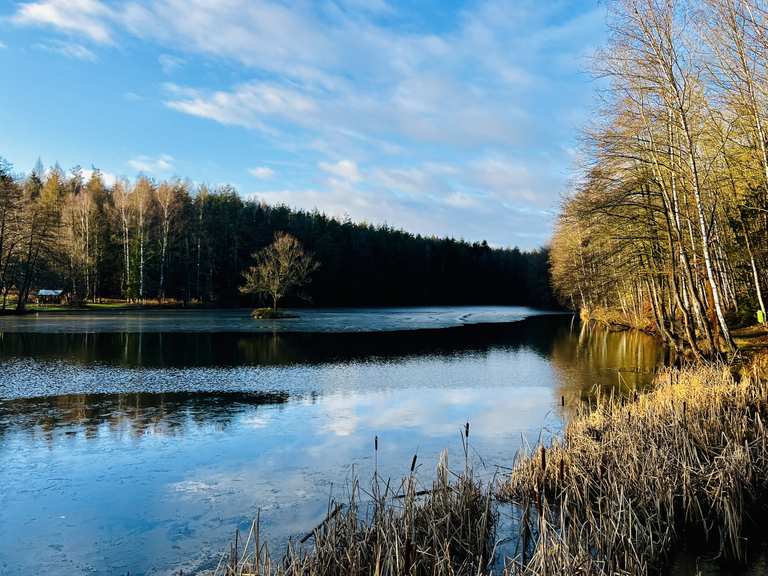 2022-12-27 🚲 Gans Gans kurze Nachfeiertagstour 🚴‍♂️😁 | bike ride | Komoot