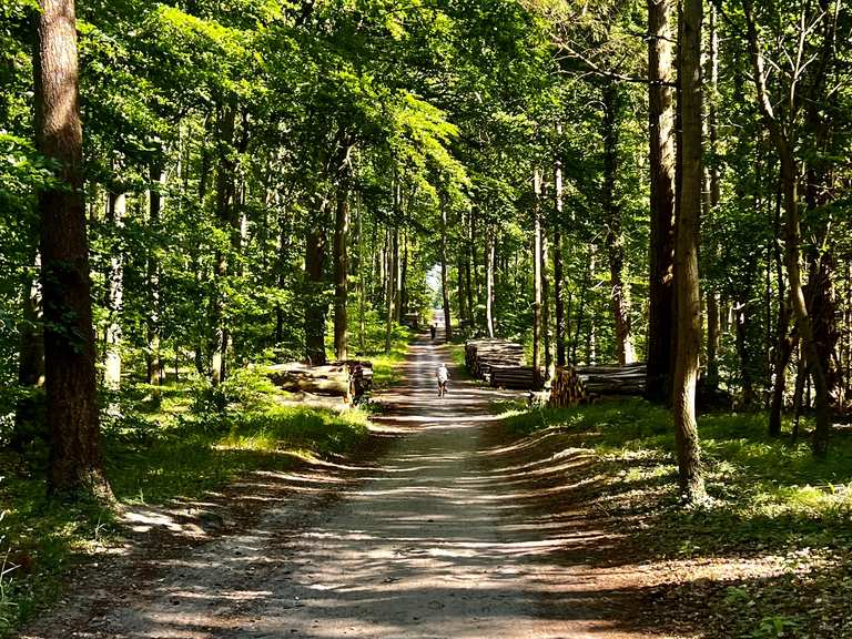 Schon wieder Usedom - Kleine Usedom Runde | Wanderung | Komoot