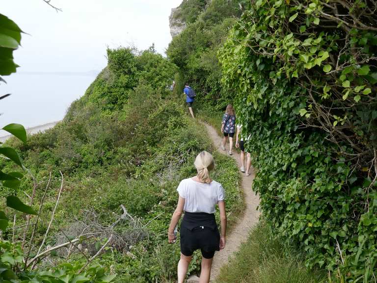 Beer to Branscombe cliff top walk 17.07.2019 | Nordic-Walking-Tour | Komoot