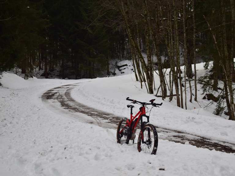 04.03.2023 Mal schauen 👀 wie weit der Schnee am Berg 🏔 schon weg ist ...