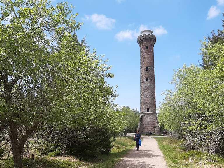 Wildsee – Hohloh Turm Runde | Wanderung | Komoot