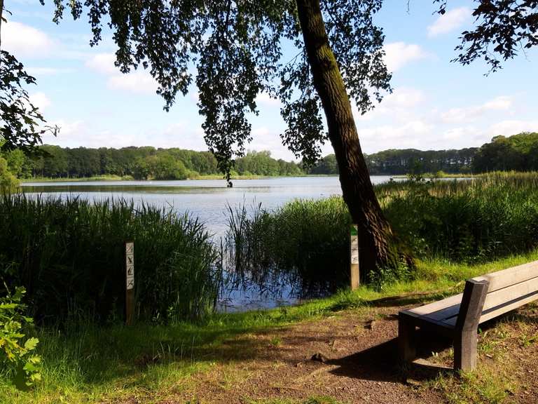 Wandeling 2024-06-18 Bellem - Kanegem 17km | Wanderung | Komoot