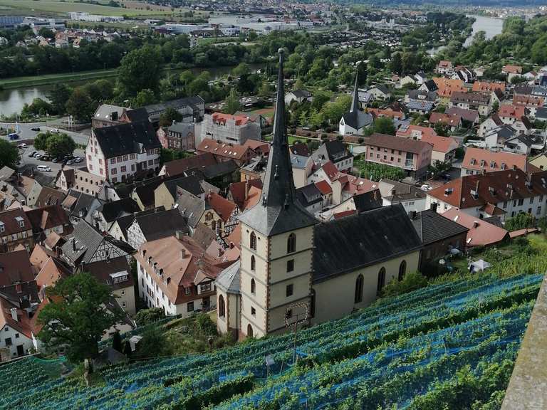 Klingenberg, - Blick auf Main und Klingenberg | Mountainbike-Tour | Komoot