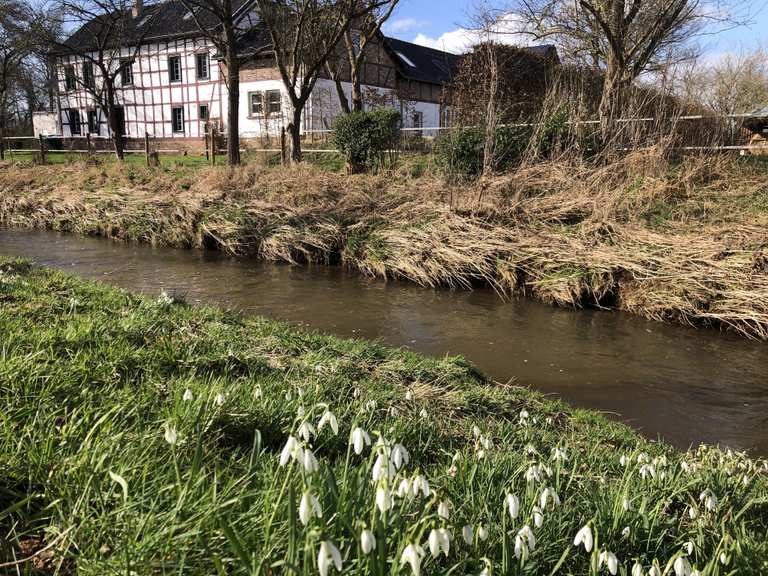 Eifelschleife 3 zum Bleibach | hike | Komoot