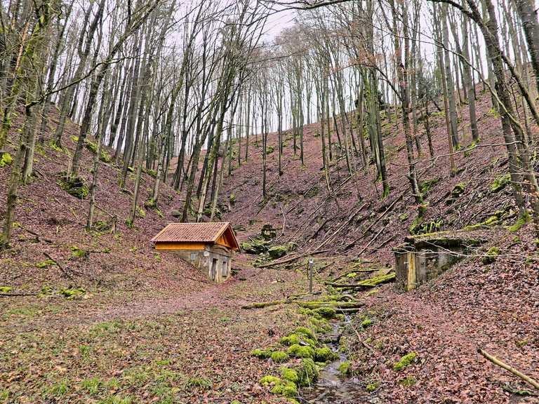 Egloffstein bei zaghaftem Sonnenschein 🌥️ 😉 | Wanderung | Komoot