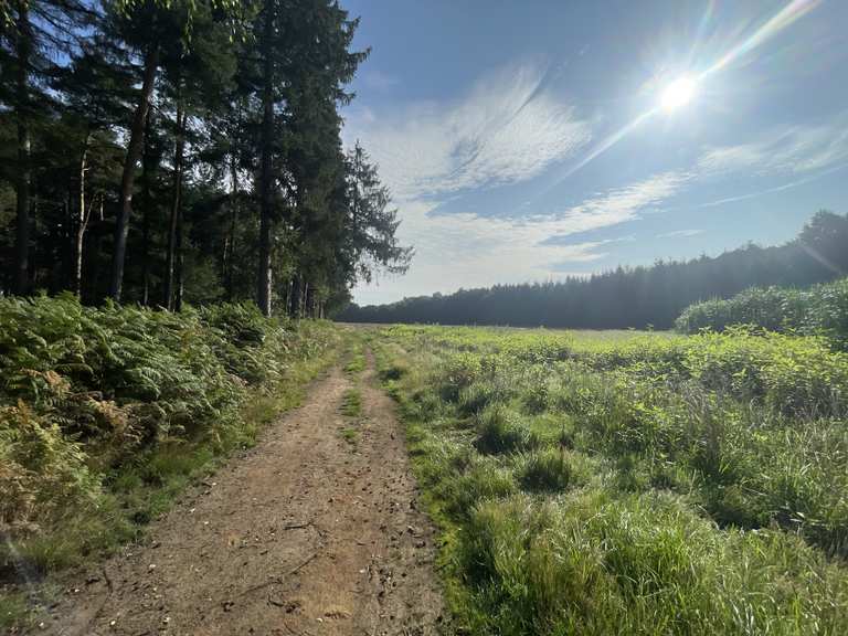 Wasser - Wald - Wiesen ️ Auf zum Sandbach 💦 🌞 | Wanderung | Komoot