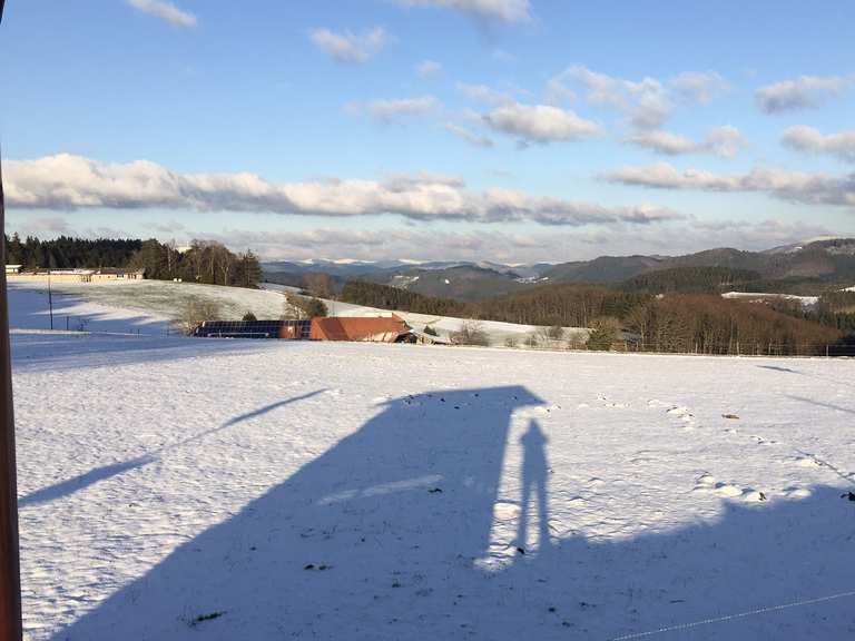 Höhehäuser - Biereck - Heidburg | Wanderung | Komoot