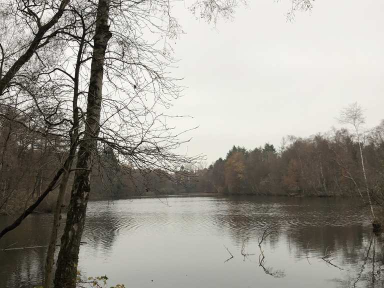 🇾🇪Drunen: Schöne Samstagstour am Duinrand ☁️ | hike | Komoot