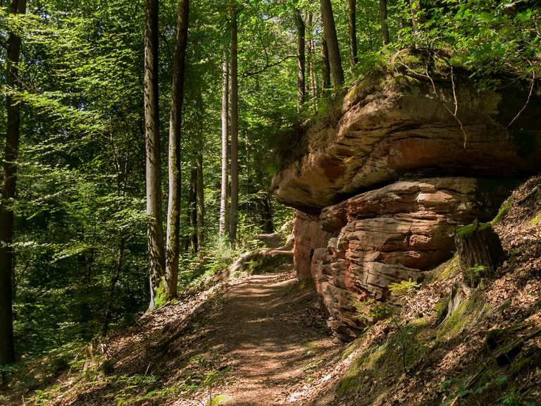 Rumberg-Steig / Ludwigswinkel | hike | Komoot