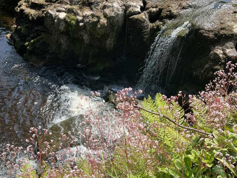 Nordirland 👀💦🌳 Antrim Coast - Glenariff Inver River Waterfall-Trail ...