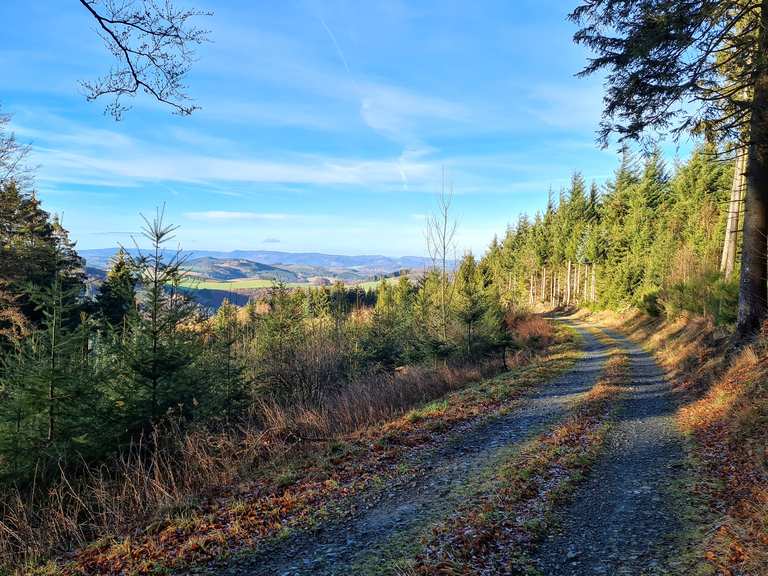 Rimberg-Rarbachtal | hike | Komoot