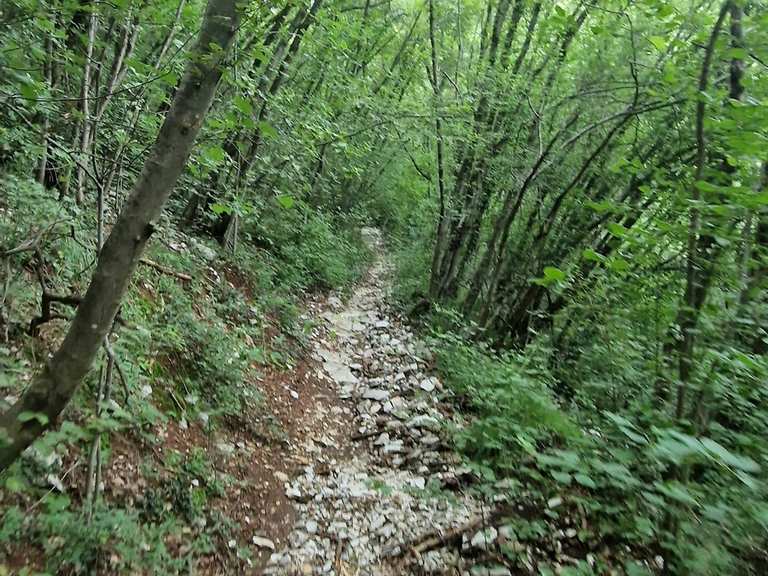 Hiking Tour Gardona Riviera | Wanderung | Komoot