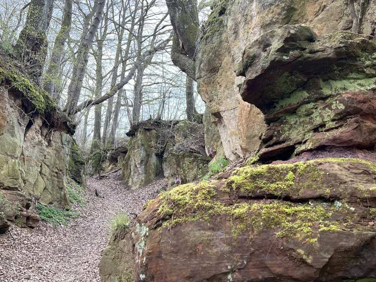 Donau-Ries 💦🤲🗿🦌 Hahnenkammsee - Hechlingen am See - Hohlweg und ...