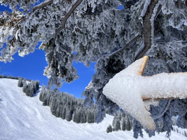 Winterwanderung mit Allgäu 365+: Berghaus Schwaben mit Mamale ...