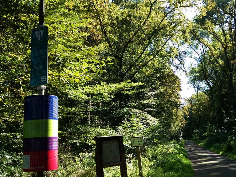 NOH-Radeln-die 6.Runde-an die Ems-Rheine-Bentlage-94km | Fahrradtour ...