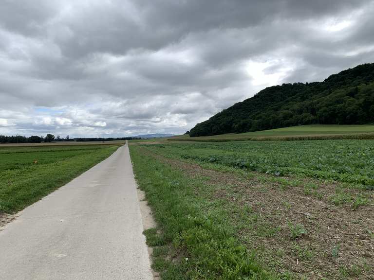 Estavayer-le-Lac nach Zuchwil | bike Tour | Komoot