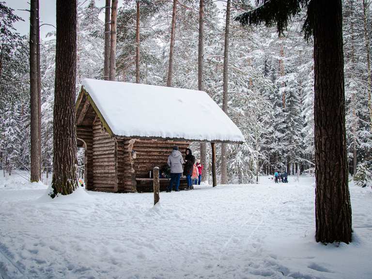 Schneewanderung durch die Dresdner Heide | Wanderung | Komoot