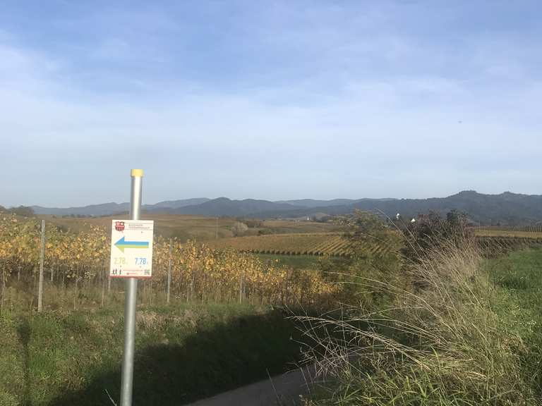 Jubiläumsrundweg Seefelden (1200 Jahre) - Öko Regio Tour (Ökol ...