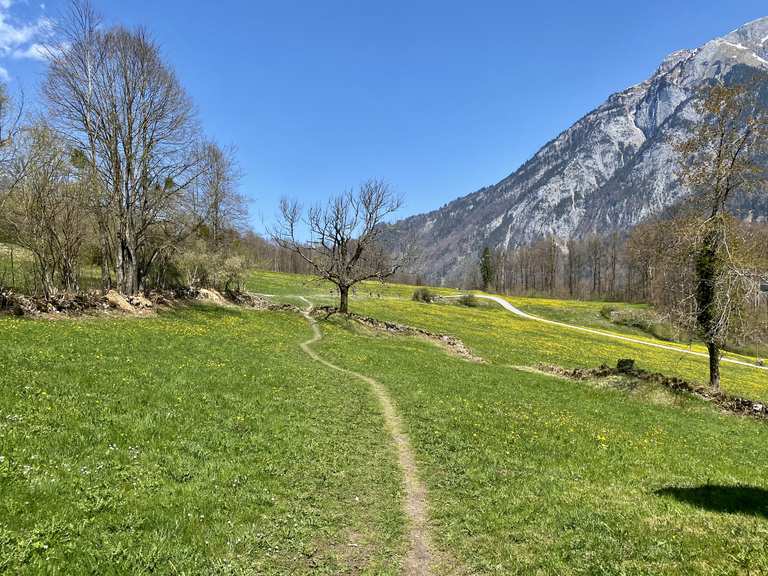 Ennenda GL-Tannenberg-Schwander Turm-Schwändi-Glarus-Ennenda | mountain ...