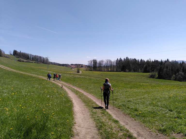 Illerdurchbruch Kalden | Wanderung | Komoot