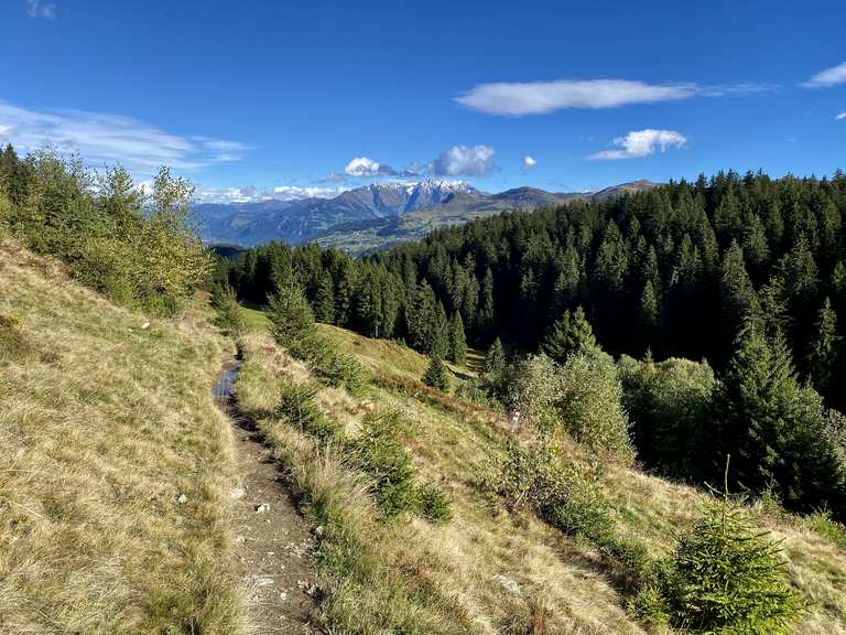 Dardin GR-Alp da Schlans-Prada Plauna-Tschegn Dadens Sut-Brigels-Dardin ...