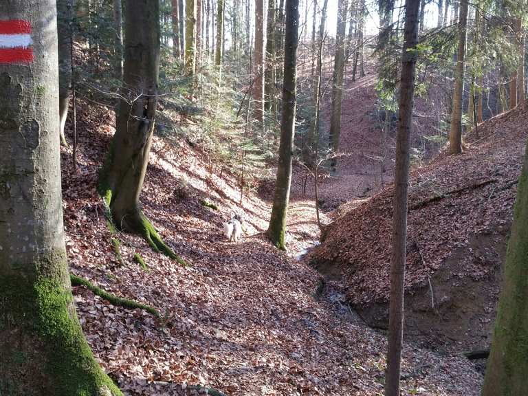 Steinbachklamm Prebuch | Wanderung | Komoot