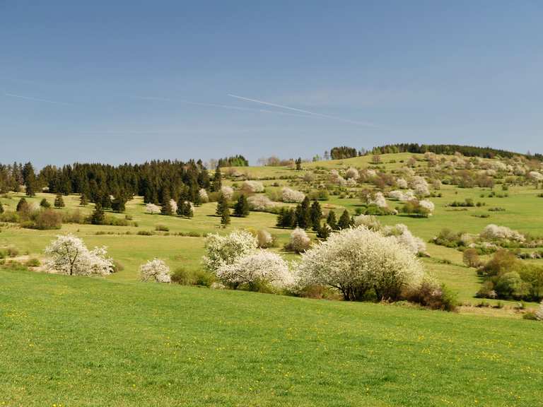 Extratouren Nord – ausgezeichnete Premiumwanderwege der Rhön | Wander ...