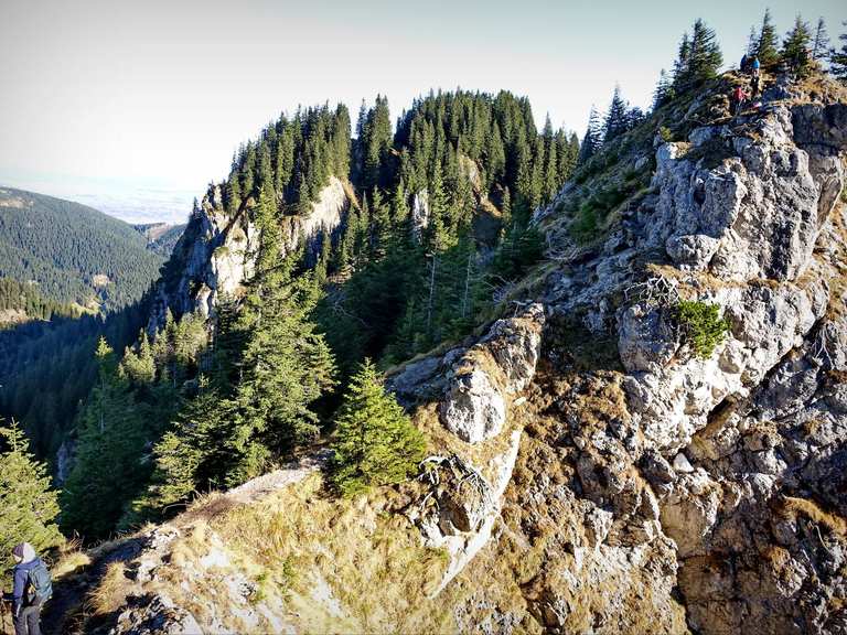 Laber-Runde | Wanderung | Komoot