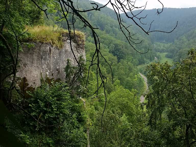 Obere Roggenmühle- Steinenkirch- Magental | Wanderung | Komoot