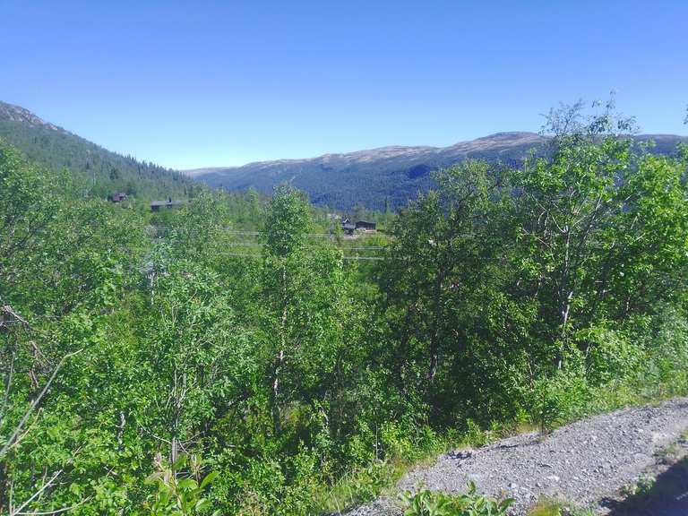 Skandinavien Rundtour Tag 36 Von Udval -Austbygde -Miland - Rjukan ...