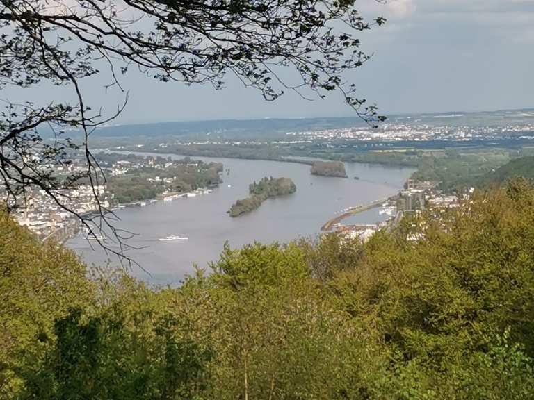 MTB-Tour Büdesheim-Krumme Fichte-Büdesheim | Mountainbike-Tour | Komoot