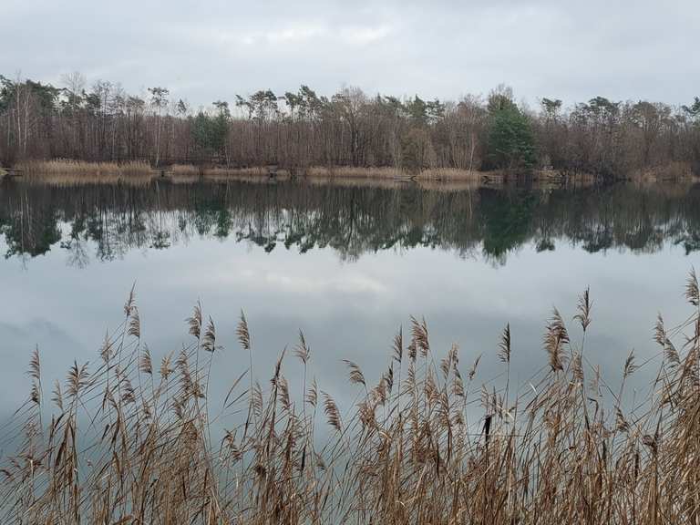 Groß- und Klein-Gerau | Wanderung | Komoot