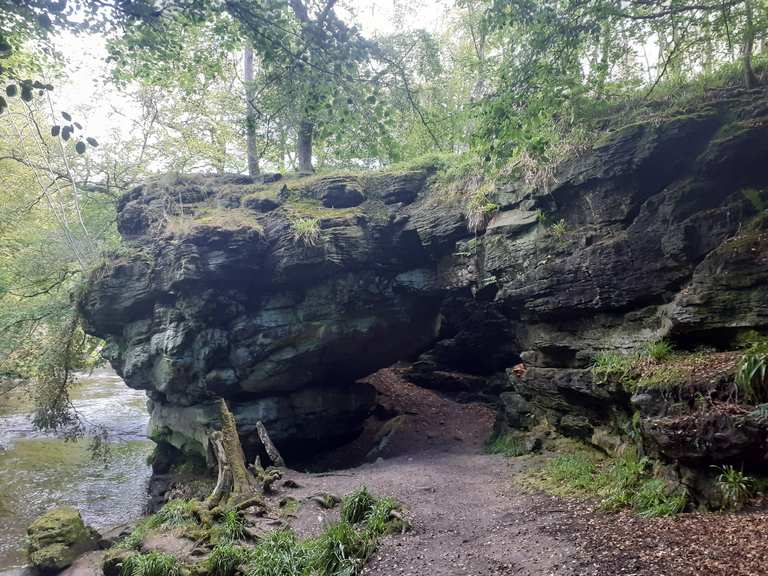 Desert Wood & William Wallace's Cave | hike | Komoot