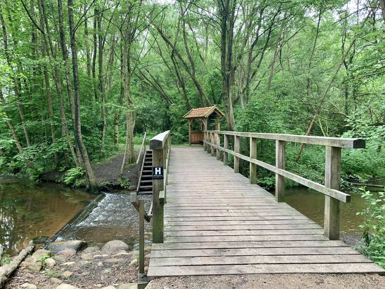 🐏 Heidschnuckenweg Tag 6 – Angriff der Gnitzen & Besuch vom Förster 🌳 ...