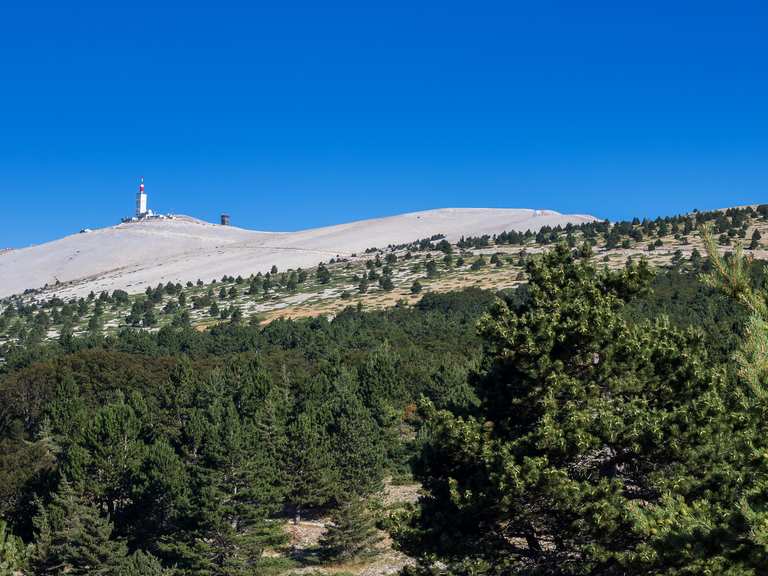 The glittering mountain – Tour of Mount Ventoux | Bike Touring ...