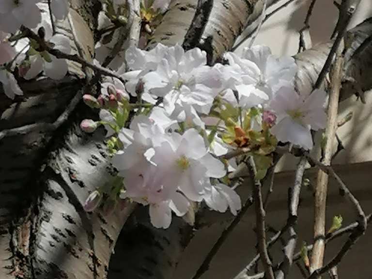 🥾 Raus ☀️ haschen 😎 | Wanderung | Komoot