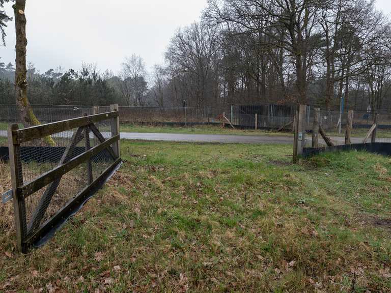 station Soest-Zuid naar station Den Dolder via De Stompert | Wanderung ...