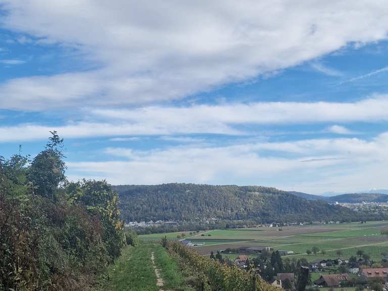 🚵‍♀️ Sa 281023 EMTB 🚵‍♀️ Wü, hoch zum Besserstein, zum Steinbruch ...
