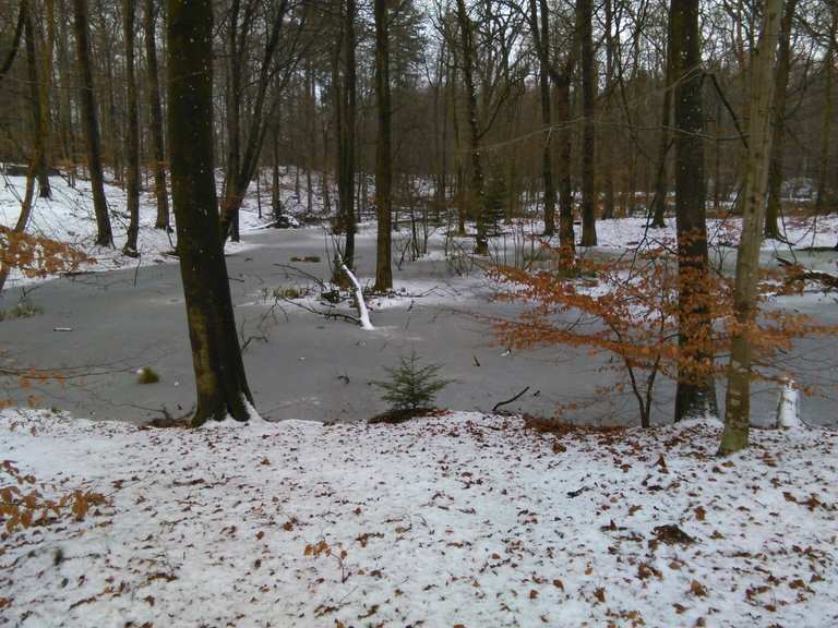 Rundgang um den Roikier See (Glücksburg/Ostsee) | Wanderung | Komoot
