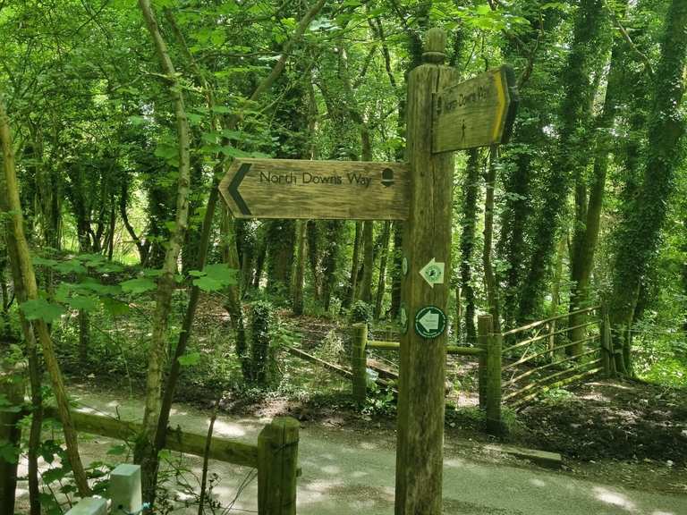 Woldingham loop * | Wanderung | Komoot