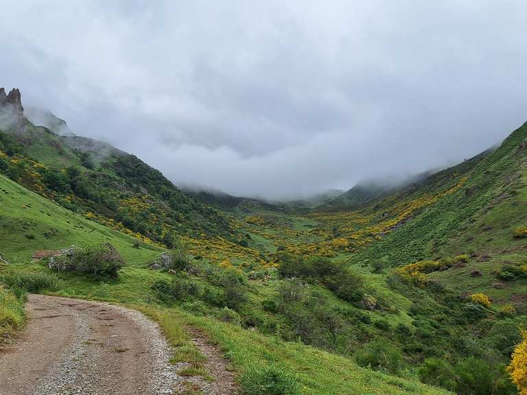 D3: Lots of dense brooms to force the bike through but the views were breath taking | E ...