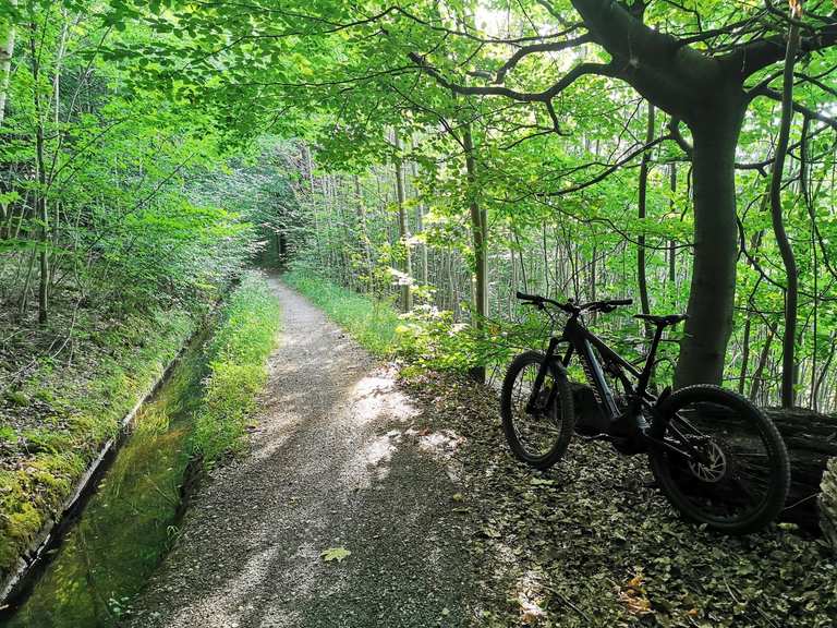 LEO.Solitude.Wildschw.Rotwildgeh.Bärensee.Katzenbachh.Rappenhof.33km.28 ...