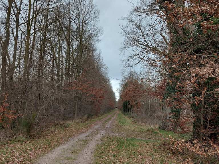 rondje Kermt,Spalbeek | Wanderung | Komoot