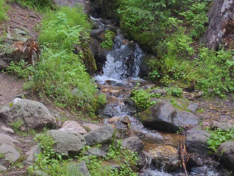 Hike to Timber Lake, Rocky Mountain National Park | Wanderung | Komoot