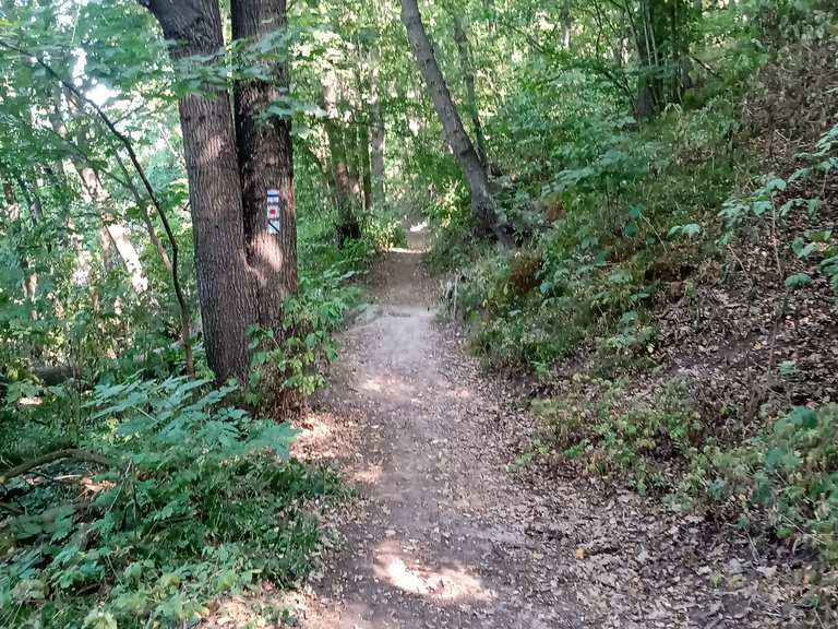 Auf der Preilippper Kuppe | hike | Komoot