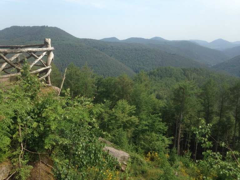 Schwarzer Fuchs (Forsthaus Annweiler) - Kirschfels - Eiterberg 12.05. ...