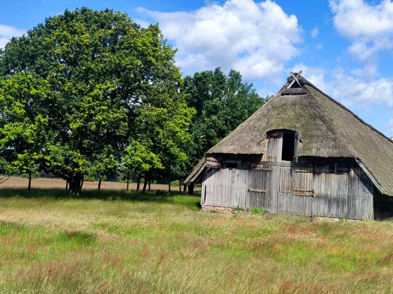 Wanderung durch die Lüneburger Heide - Sahrendorf-Wilseder Berg-Undeloh ...